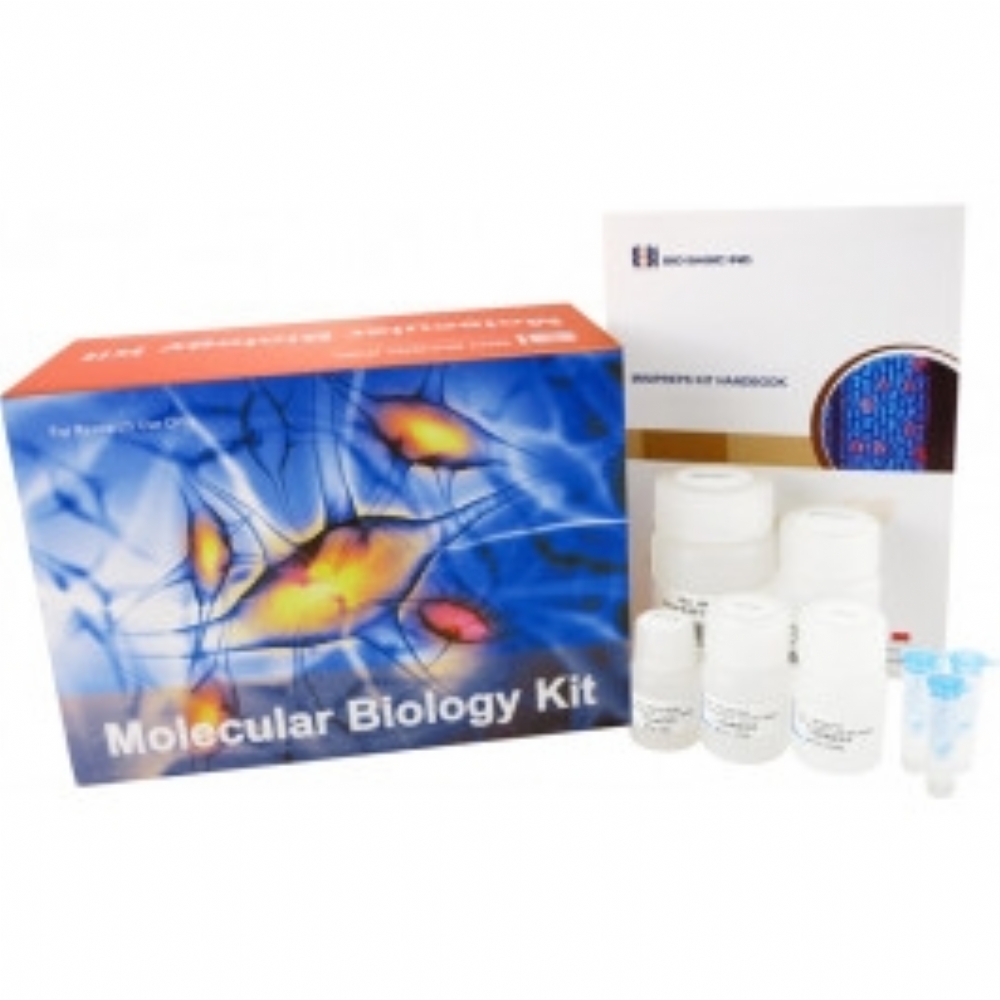 Bs91915 Ez 10 Spin Column Fungal Rna Mini Preps Kit [50 Preps] Store
